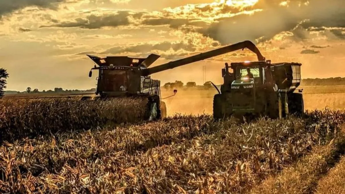 Perspectivas 2026: el escenario que enfrentan productores e inversores ...